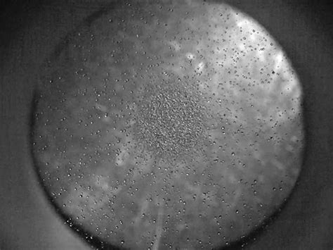 Application Fluid Dynamics Nac