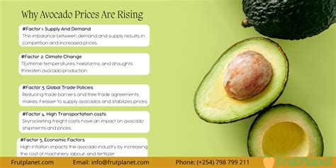 5 Reasons Why Avocado Prices Are Rising FrutPlanet