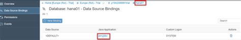 使用jdbc操作sap云平台上的hana数据库 sap community