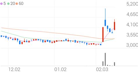 삼일씨엔에스 2988 상한가 조선비즈