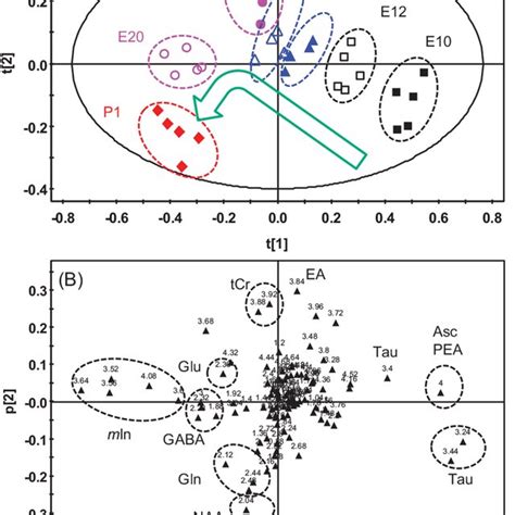 Scores Plot A And Loading Plot B Of The First Two Principal