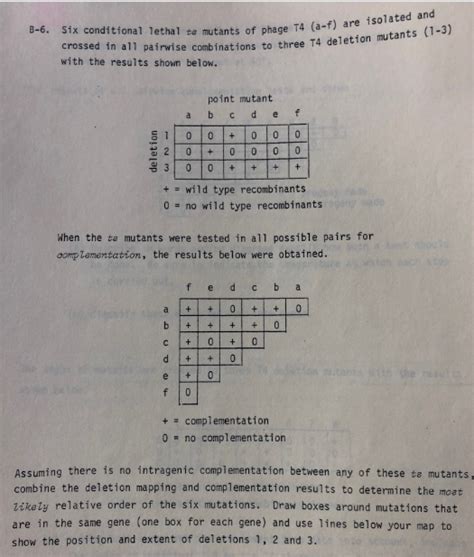 Solved B 6 Six Conditional Lethal Te Mutants Of Phage T4