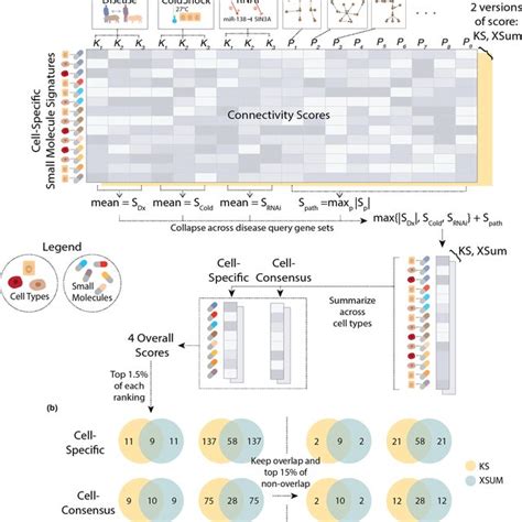A Integrative Small Molecule Prioritization Pipeline For Cf