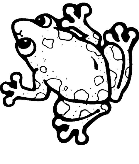 Tree Frog Coloring Pages Free Download On ClipArtMag