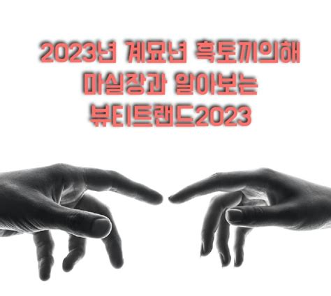 2023년 계묘년 흑토끼의해 마실장과 미리 알아보는 뷰티트랜드 2023 네이버 블로그