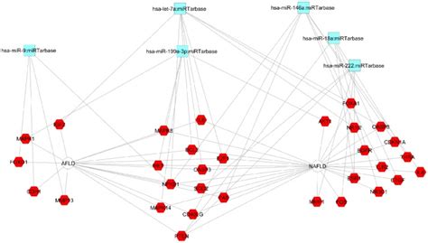 The Network Is Shown As A Cytoscape Graph [22] Generated From