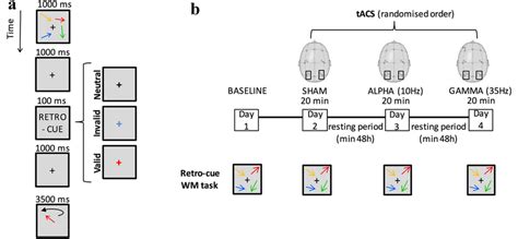 The Working Memory Wm Retro Cueing Task And Paradigm A Participants