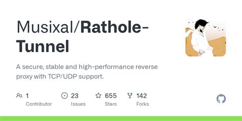 GitHub Musixal Rathole Tunnel A Secure Stable And High Performance Reverse Proxy With TCP