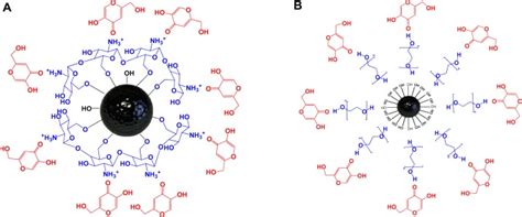 Schematic Representation Of The Interaction Between Ka Cs And Mnps In Download Scientific