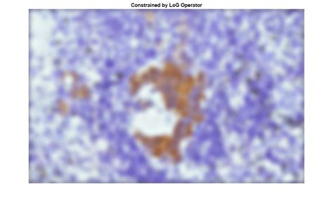 Deblur Images Using Regularized Filter Matlab And Simulink Example