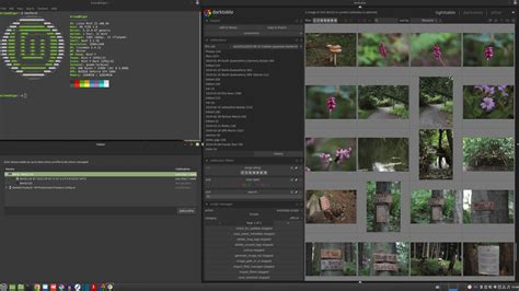 Cant Go Far Wrong With Linux Mint Rlinuxmint