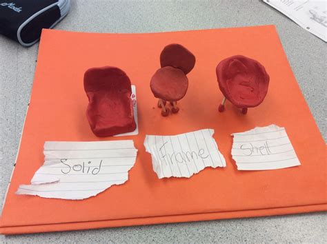 Lesson 2 Classifying Structures By Form Frame Shell And Solid Ms Angs Class