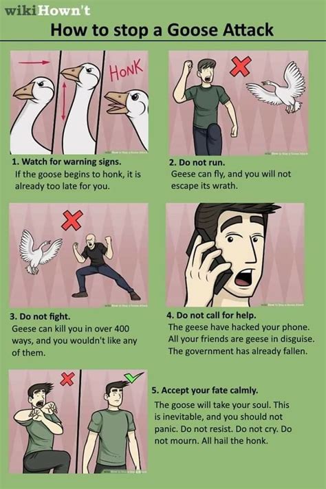 Honk Meme By Blinkme1186 Memedroid