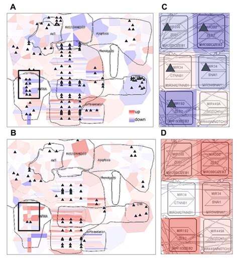 Visualization Of Cancer High Throughput Data In The Context Of Dna Download Scientific Diagram