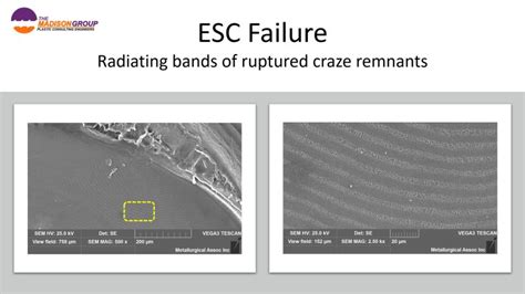 Jeffrey A Jansen On Linkedin Plastics Plasticsengineering Polymerscience Materialsscience…