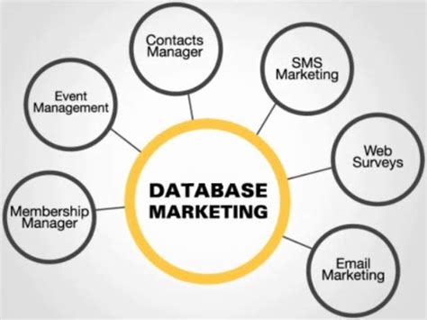what is database marketing a comprehensive overview