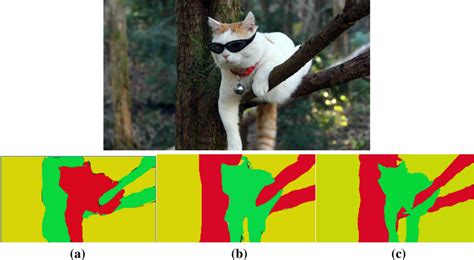 Examples Of Segmentation Results For Models Trained With Different Loss Download Scientific