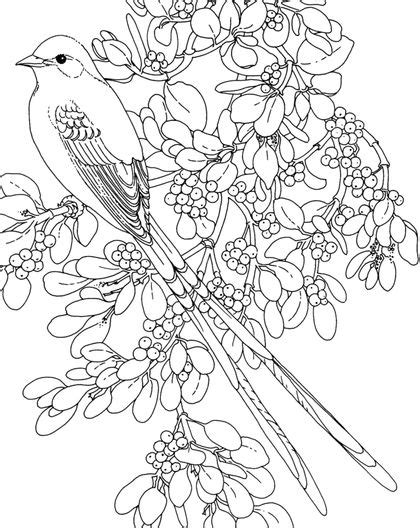 ★컬러링 도안★어른을 위한 색칠공부 꽃 And 새 Bird Coloring Pages Coloring Pages Flower Coloring Pages