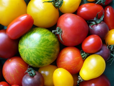 Ernährung Medizin Lexikon Online Lernen mit Lecturio
