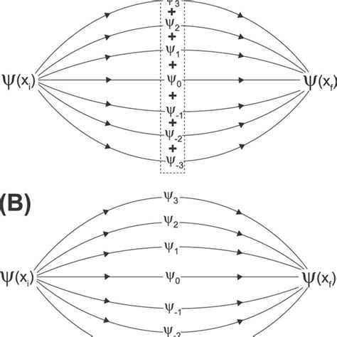 Illustration Of A Coherent And B Incoherent Transport A For Download Scientific Diagram