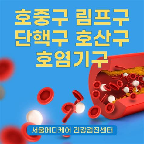 호중구 림프구 단핵구 호산구 호염기구 수치증가 수치감소 의미 해석 마포건강검진 서울메디케어 네이버 블로그