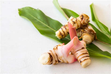 Galangal as an Ingredient (and where to find)