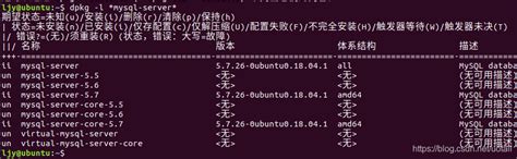 Linux 下软件的安装 Apt和dpkg安装apt Csdn博客