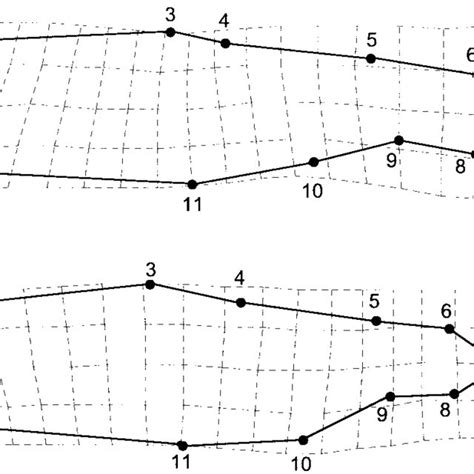 Thin Plate Spline Representation Of Shape Deformations Associated With