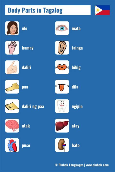 Body Parts In Tagalog In 2025 Tagalog Words Tagalog Filipino Words