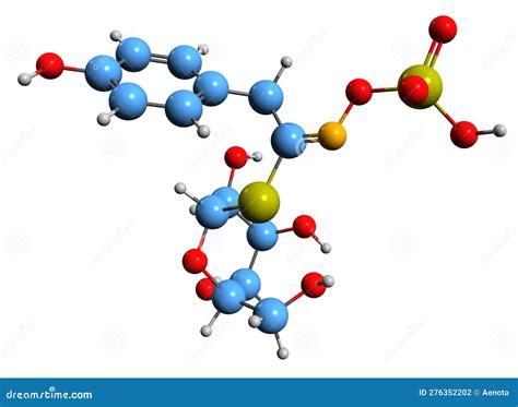 Sinigrin Glucosinolate Molecule Skeletal Formula Chemical Structure Cartoon Vector