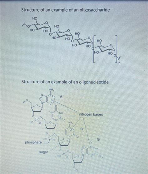 Structure Of An Example Of An Oligosaccharide
