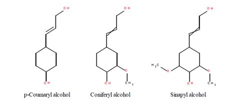 6 The Monomers Of Lignin [19] Download Scientific Diagram