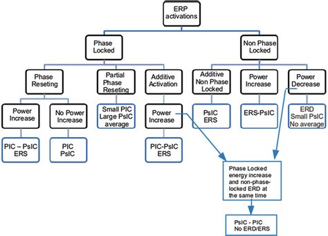 trends in erp analysis using eeg and eeg fmri synergistic methods