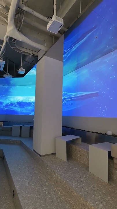 카페 인테리어로 설치된 빔프로젝터 엣지블랜딩 미디어아트 Youtube