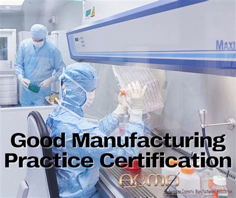 Example Of Gmp Certificate At Betty Watkins Blog