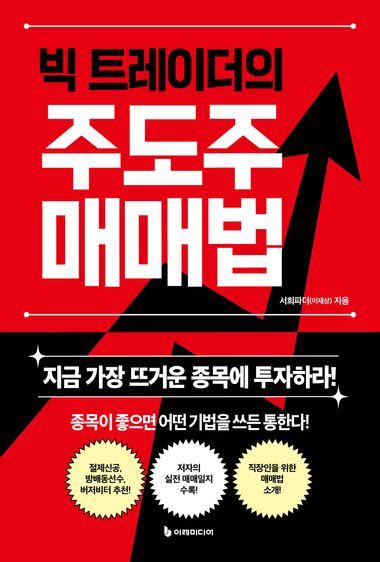 빅 트레이더의 주도주 매매법 이레미디어 교보ebook
