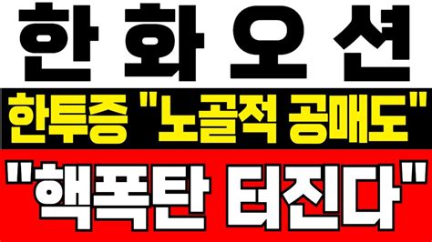 한화오션 주가전망 미노출 양봉 한국투자증권 레포트 내고 장초반 풀매도 후 재차 풀매수 개미털기 구간에서 절대 매도하면 안된다 당장 월요일 대응필수 완벽