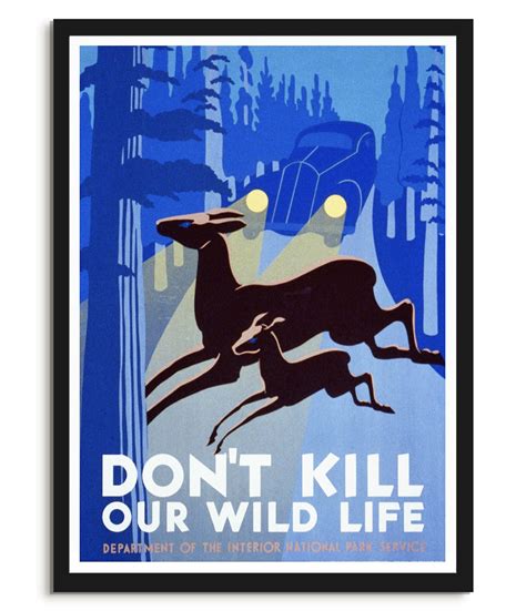 Dont Kill Our Wildlife Plume