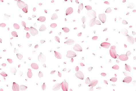 봄 여름 사쿠라 원활한 패턴 프리미엄 벡터