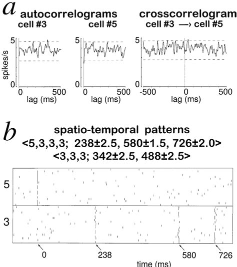 A Spatiotemporal Firing Patterns From Two Neurons Recorded From The