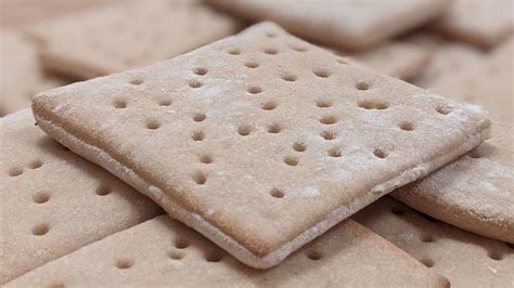 Can cats eat graham crackers? - Cats Thoughts