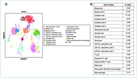 Combined Single Cell Rna Sequencing Output Using The Optimized