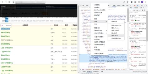 爬虫内容定位器xpath 谷歌浏览器安装 chrome xpath csdn博客
