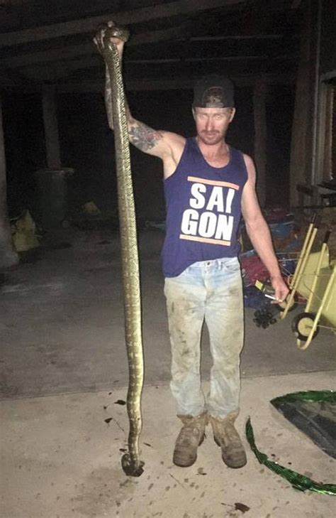 Mum Finds Snake Attacking Sleeping Son Daily Telegraph