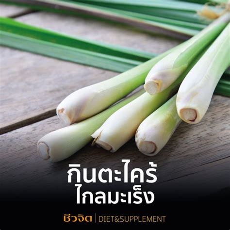 กรมพัฒนาการแพทย์แผนไทยและการแพทย์ทางเลือก กระทรวงสาธารณสุข สรุปสรรพคุณของตะไคร้ที่ใช้เป็นยารักษา