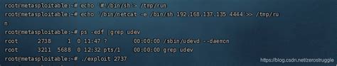 漏洞利用 telnet登录提权 rce busybox telnet 提权 kernel4 9 csdn博客