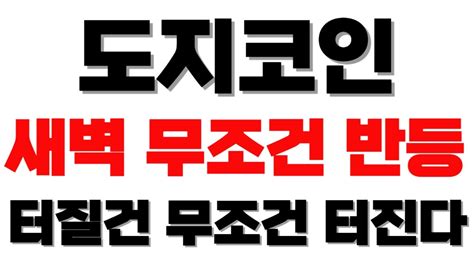 도지코인 새벽 반등 온다 터질건 무조건 터진다 Youtube