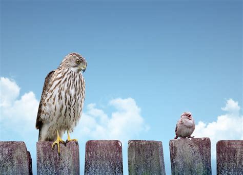 Dimensionality Reduction Method Through Autoencoders Quantdare