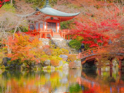 Alexey Welsh Holistic Sex Buy Course