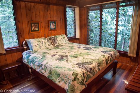 The Canopy Treehouses Unique Hotels In Cairns Adventure Baby